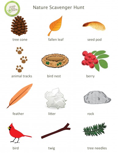 Nature Scavenger Hunt