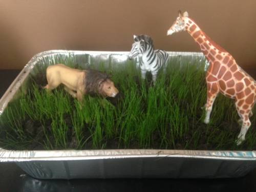 African Grasslands - Monthly Science and Art Projects for Kids | Green ...