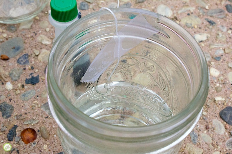 Water Science: Making Water Travel on a String - Green Kid Crafts